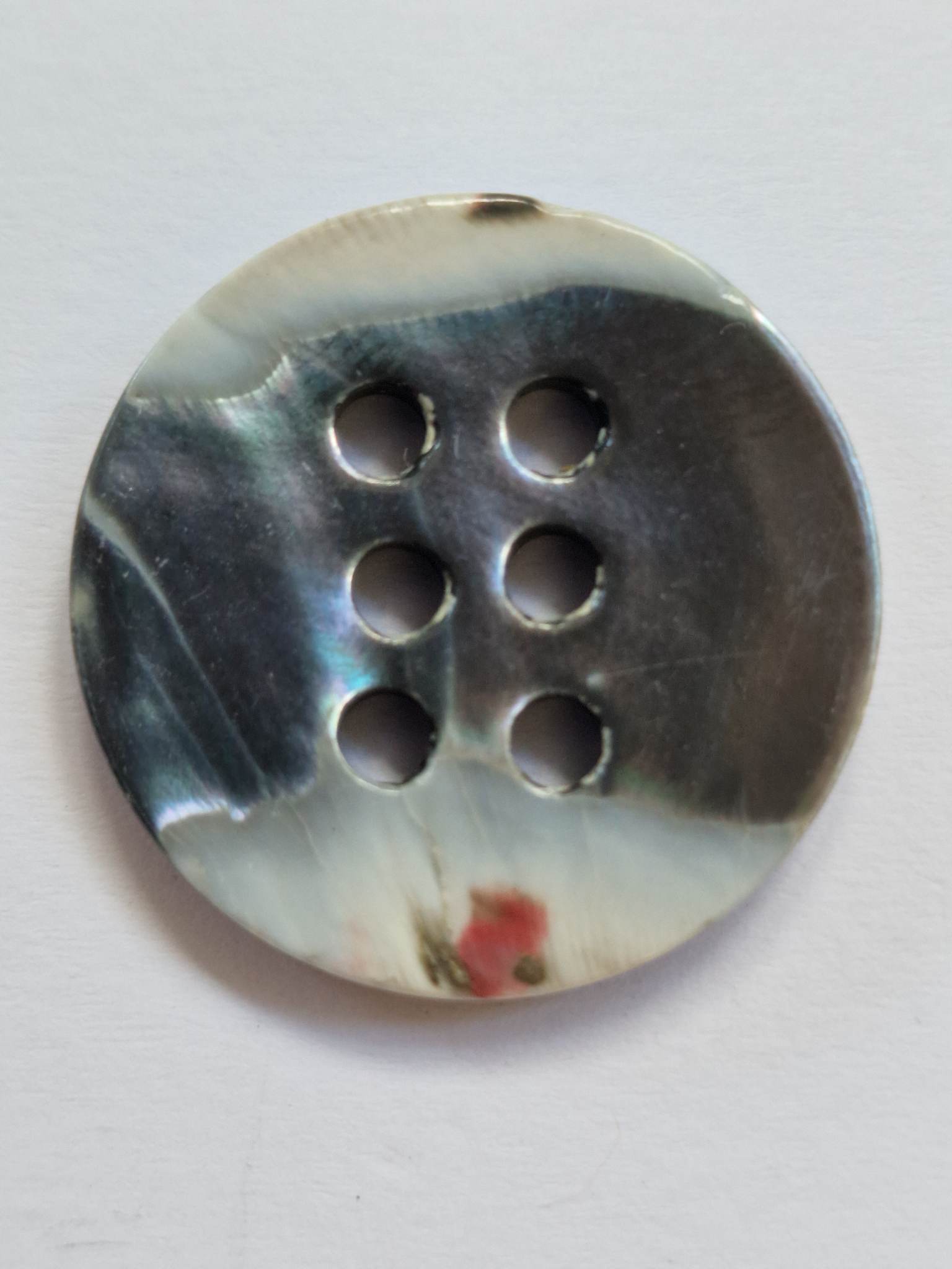 Grey 6 Hole Trocus Round Button - The Button Queen