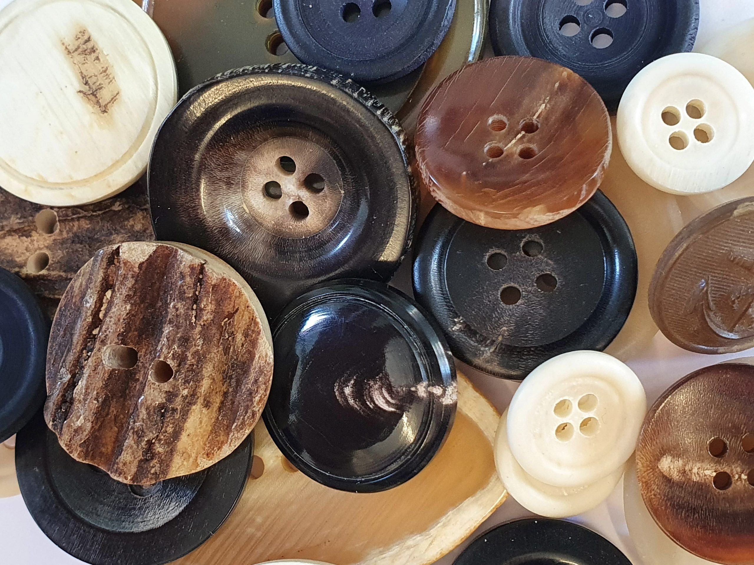 The Button Queen - Horn Buttons