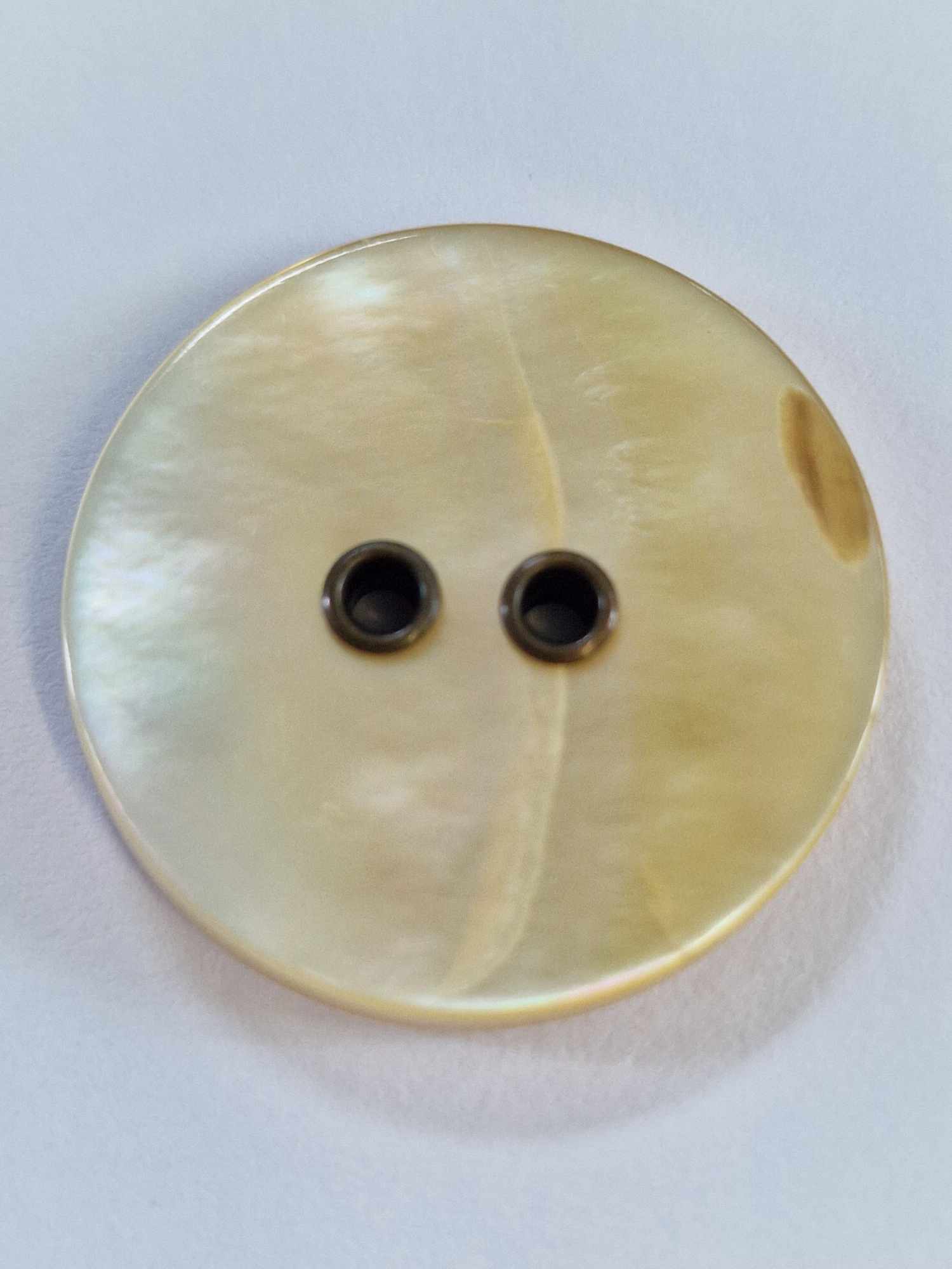 Natural Cream Brass Eyeletted Shell 2 hole Button - The Button Queen