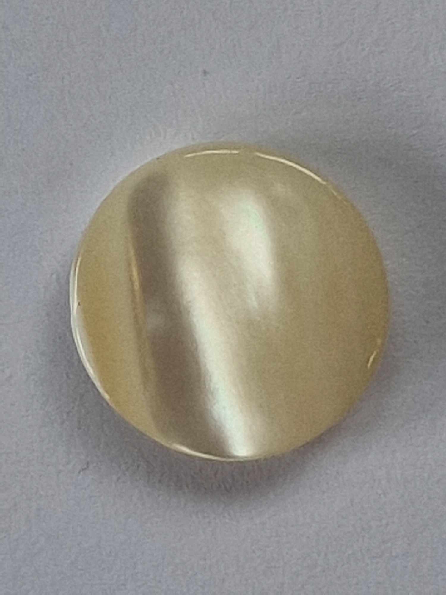 Trocus Shelf Shanked Shell Button - The Button Queen